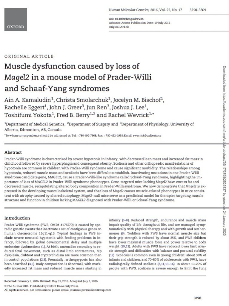 Investigación del Síndrome de Schaaf-Yang